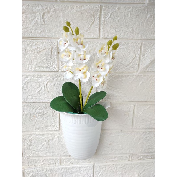 Jual bunga anggrek super murah pot dinding gelombang | Shopee Indonesia