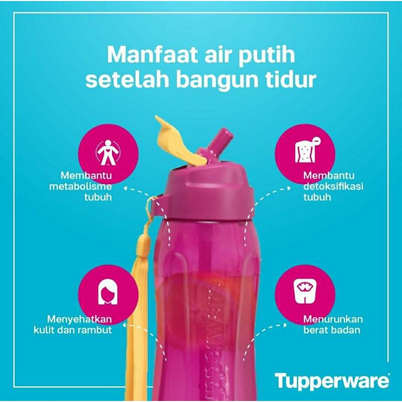 Jual Eco Bottle Straw Tupperware | Shopee Indonesia