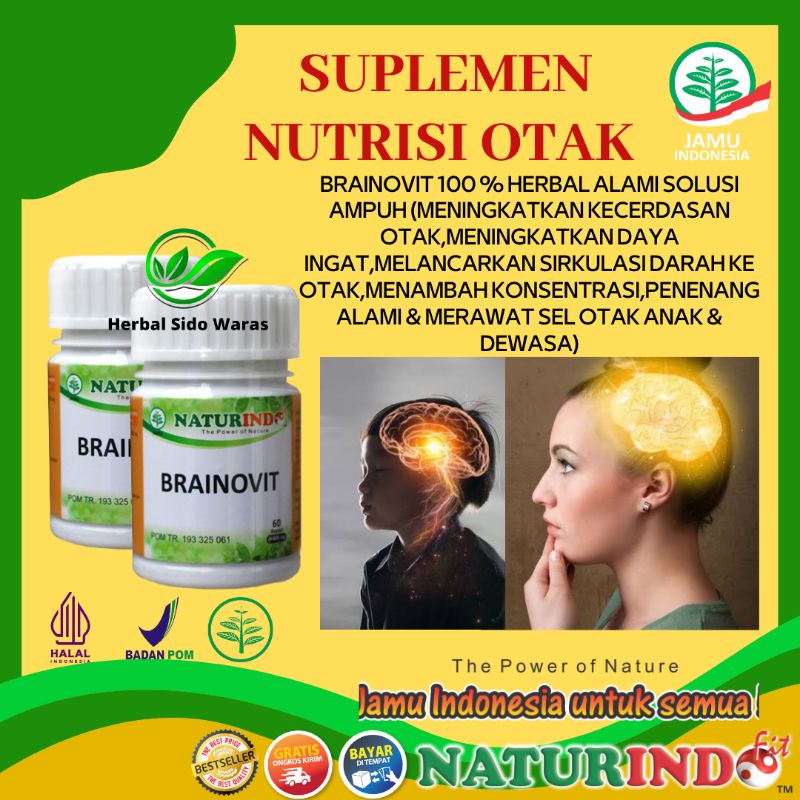 Jual Suplemen Vitamin Nutrisi Otak Cerdas Peningkat Daya Ingat Menambah ...