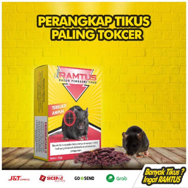 Jual Perangkap Tikus Ramtus Untuk Membunuh Koloni Hama Tikus | Shopee ...