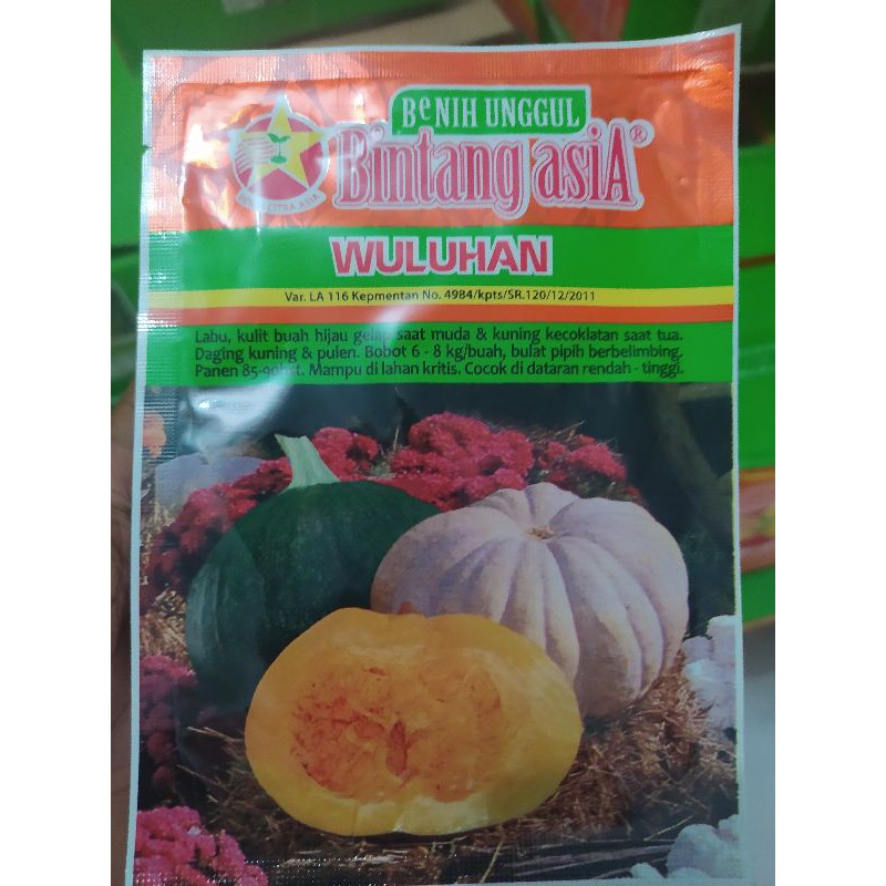 Jual Benih Unggul Labu / Waluh Kuning WULUHAN 10 Gram - Bintang Asia ...