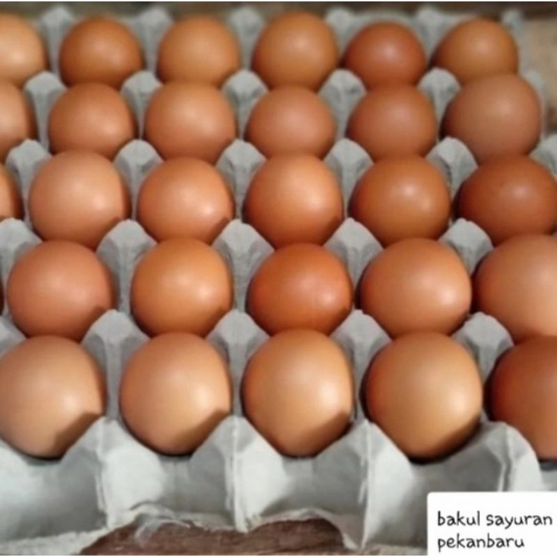 Jual Telur Ayam Negeri 15 Butir (1/2 papan) | Shopee Indonesia