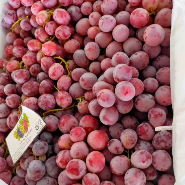 Jual ANGGUR MERAH /500 gr | Shopee Indonesia