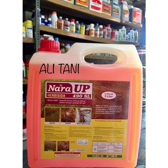 Jual NARA UP 490 SL kemasan 5 Liter Herbisida Sistemik/Racun Rumput ...