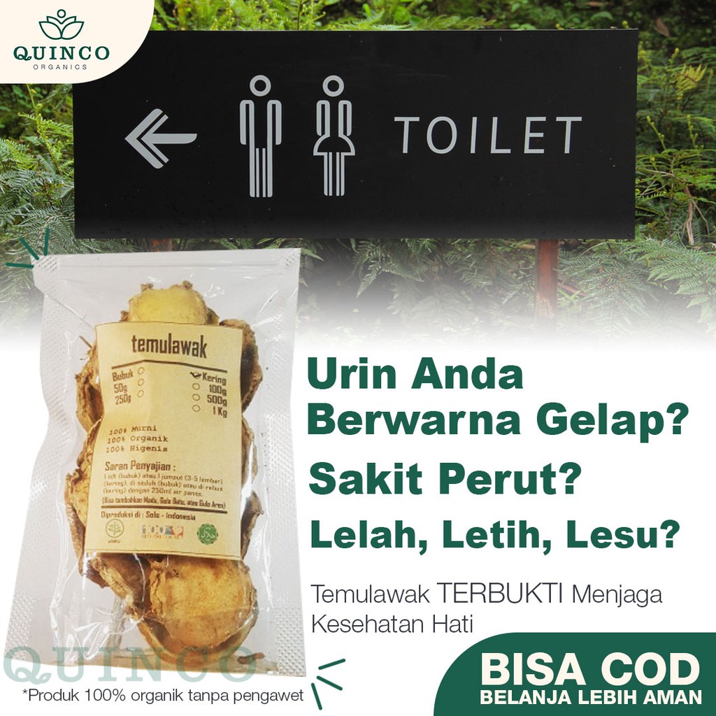 Jual JSR Temulawak akar kuning curcuma 100gr herbal murni organik ...