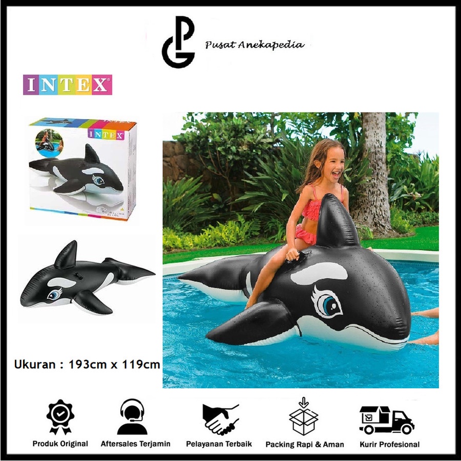 Jual Intex 58561 Pelampung Renang Anak Whale Ride On - Pelampung Renang ...