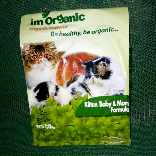 Jual Imo Kitten Baby Mom 1,8kg | Shopee Indonesia