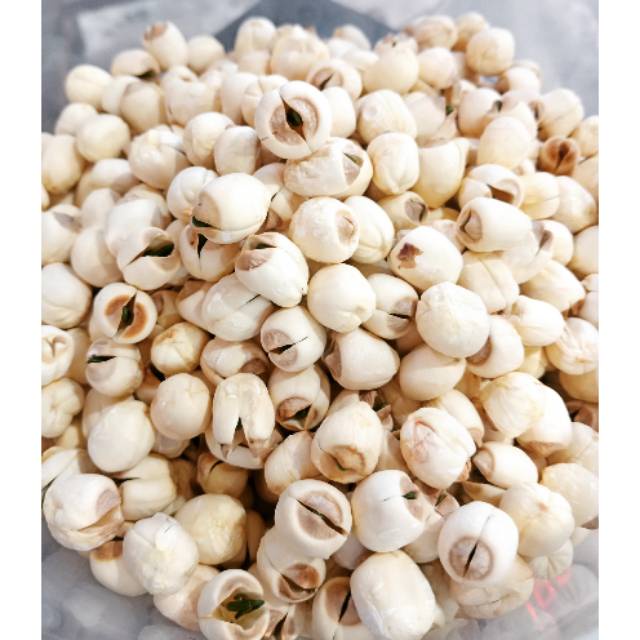 Jual Biji Teratai 100 gr | Shopee Indonesia