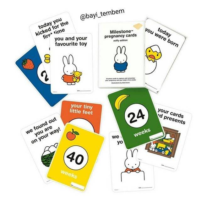 Jual Milestone Pregnancy Card Miffy Edition | Shopee Indonesia