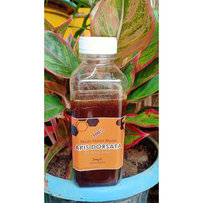 Jual Madu Hutan Apis Dorsata Riau 500 Gram | Shopee Indonesia