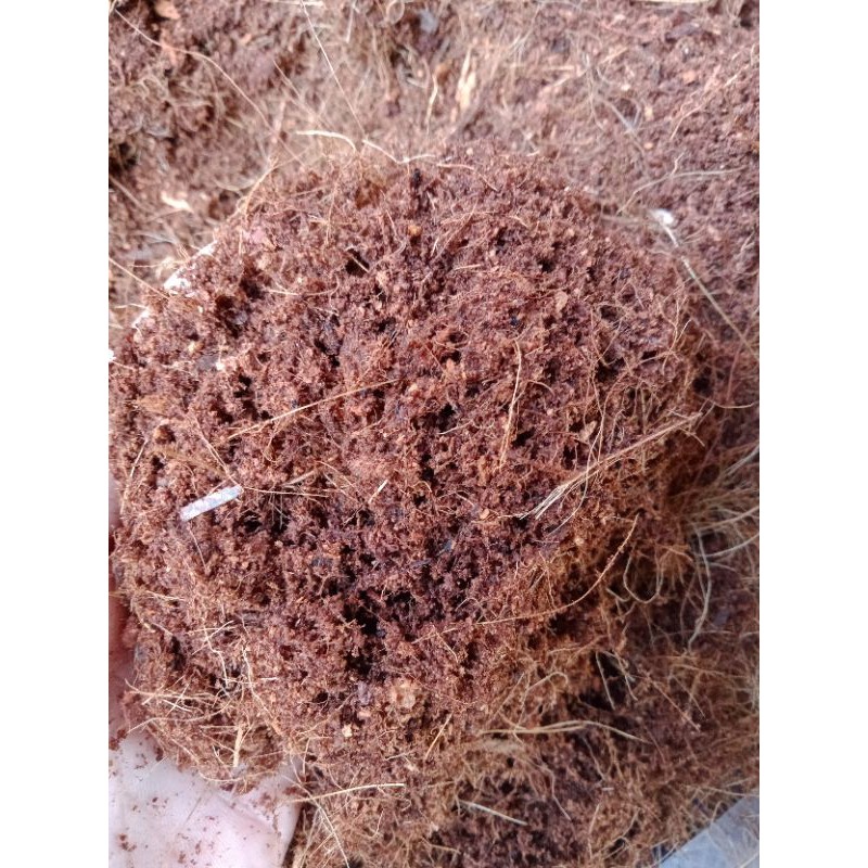 Jual kokpit pupuk sabut klapa | Shopee Indonesia
