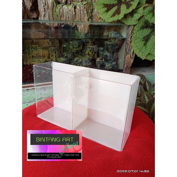 Jual Soliter akrilik mini cupang guppy 20x6x12cm 2 warna putih dan ...