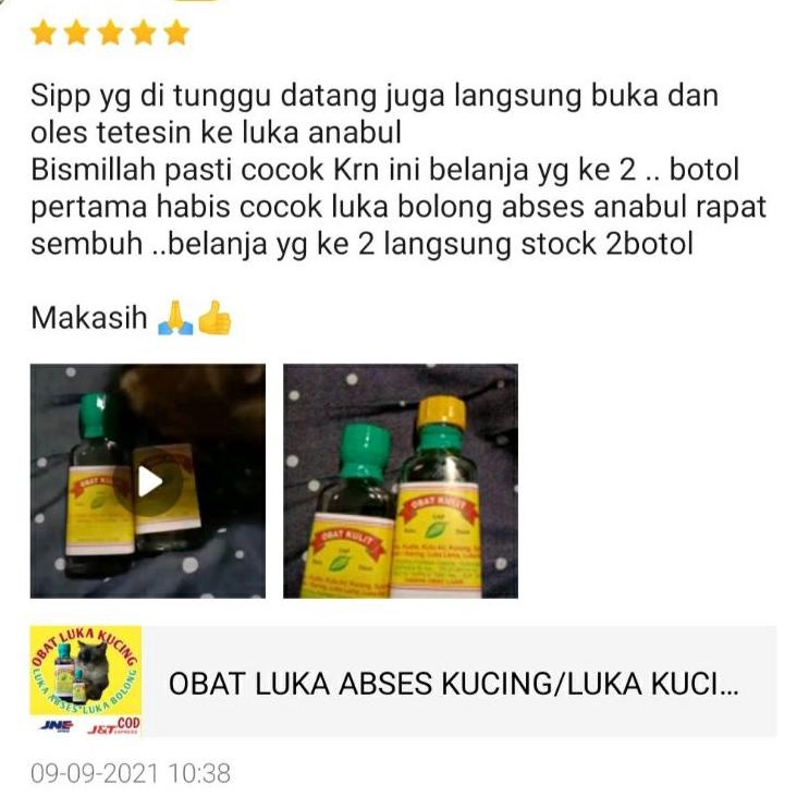Jual Terlaris.. OBAT LUKA ABSES KUCING/LUKA KUCING BOLONG BERNANAH ...