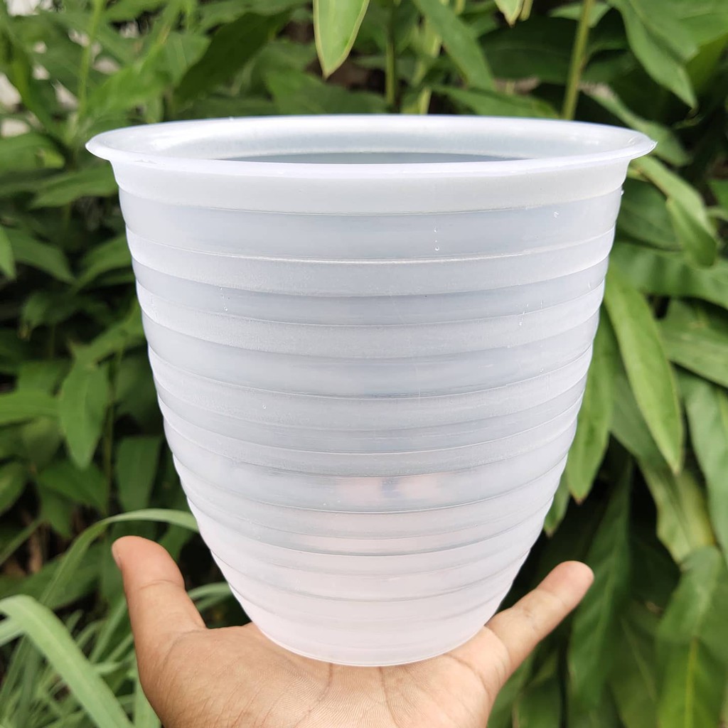Jual Pot Guci 151 tawon tirus bening transparan diameter 15 tinggi 15 ...