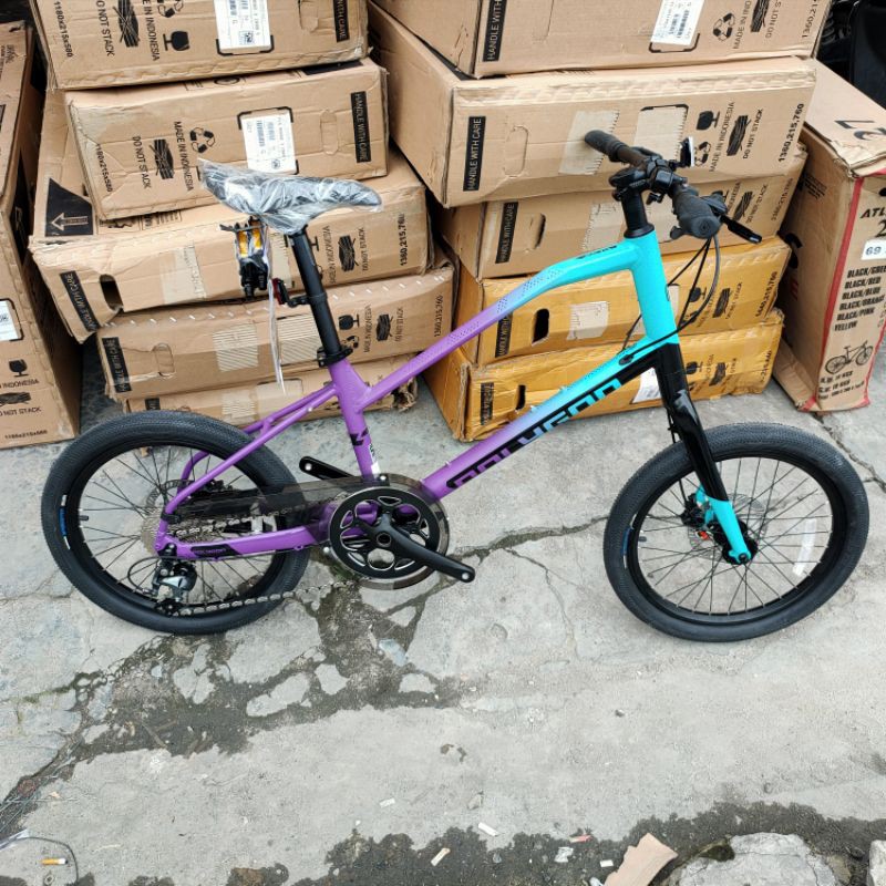 Jual polygon Mini Velo Zeta 2 1x10 speed tiagra | Shopee Indonesia