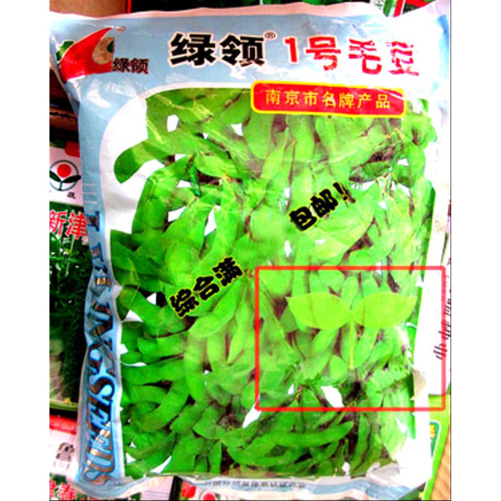 Jual 25 Benih Biji Bibit Edamame Eceran | Shopee Indonesia