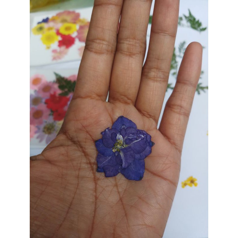 Jual bunga kering isian resin epoxy lilin frame mahar dan lain lain ...