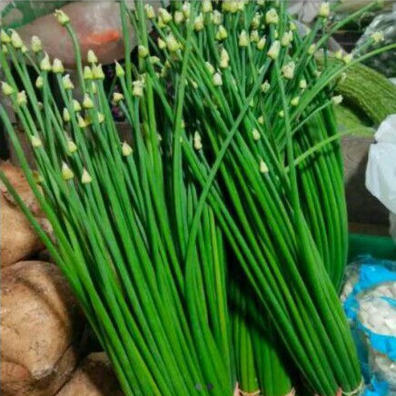 Jual bunga bawang 1 ikat (150grm) | Shopee Indonesia