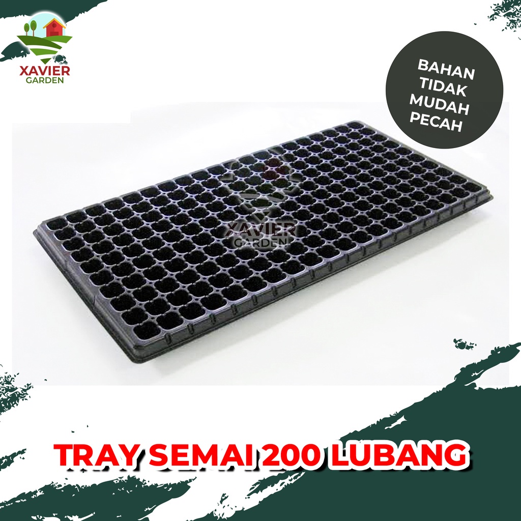 Jual POT TRAY SEMAI 200 LUBANG SEMAI BENIH | Shopee Indonesia