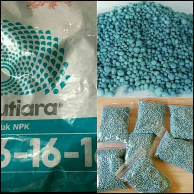 Jual Pupuk NPK Mutiara Biru Kemasan Mini 100 gram | Shopee Indonesia