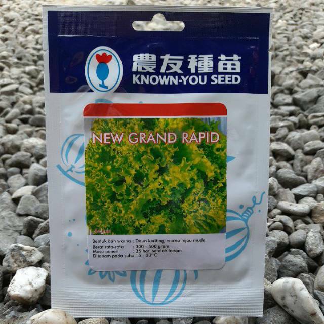 Jual benih sayur selada lettuce NEW GRAND RAPID (10gr)Known You Seed | Shopee Indonesia