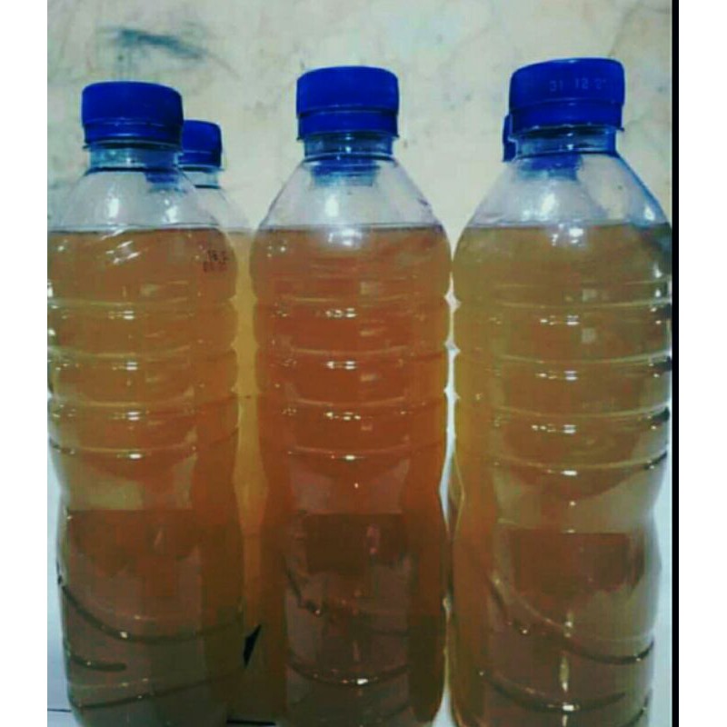 Jual air nira kelapa rebus 500 ml | Shopee Indonesia