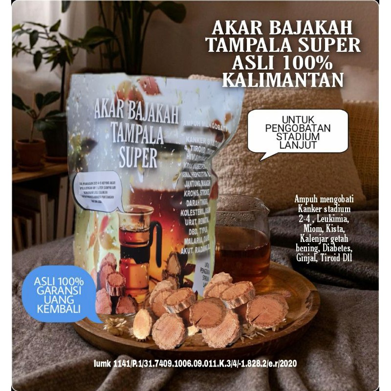 Jual AKAR BAJAKAH TEMPALA SUPER 500 GR ASLI KALIMANTAN OBAT KANKER ...