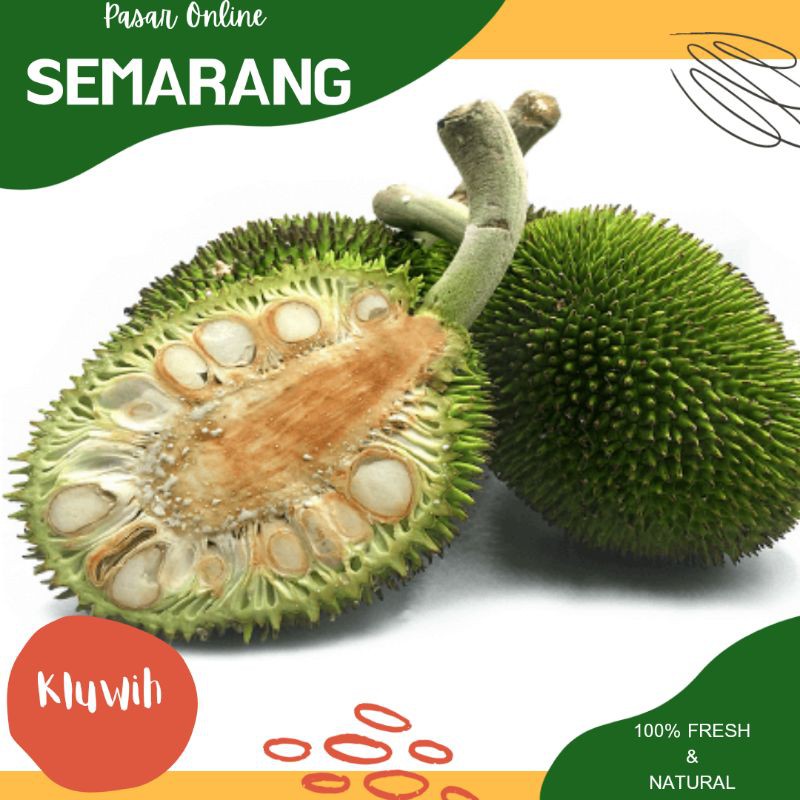 Jual Sayur Sayuran Segar Kluwih / Kluweh Fresh / Masak Sayur / Belanja ...