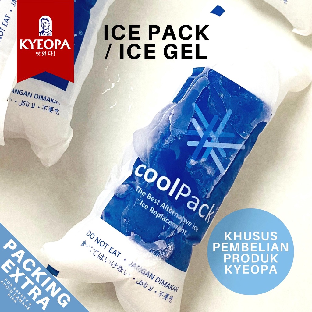 Jual EXTRA PACKING ICE GEL / ICE PACK (KHUSUS FROZEN FOOD & KIMCHI ...