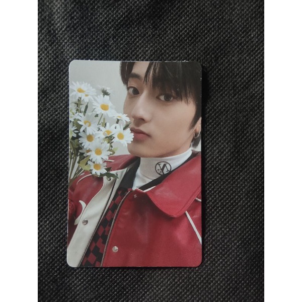 Jual PHOTOCARD HARUTO BUNGA (BOOKED) | Shopee Indonesia