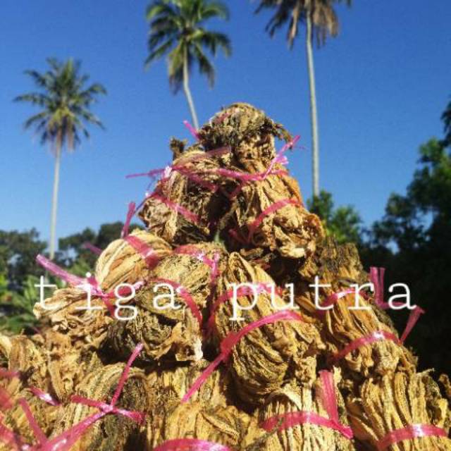 Jual Ham coi kon / sawi asin kering (100 gram per ikat) | Shopee Indonesia