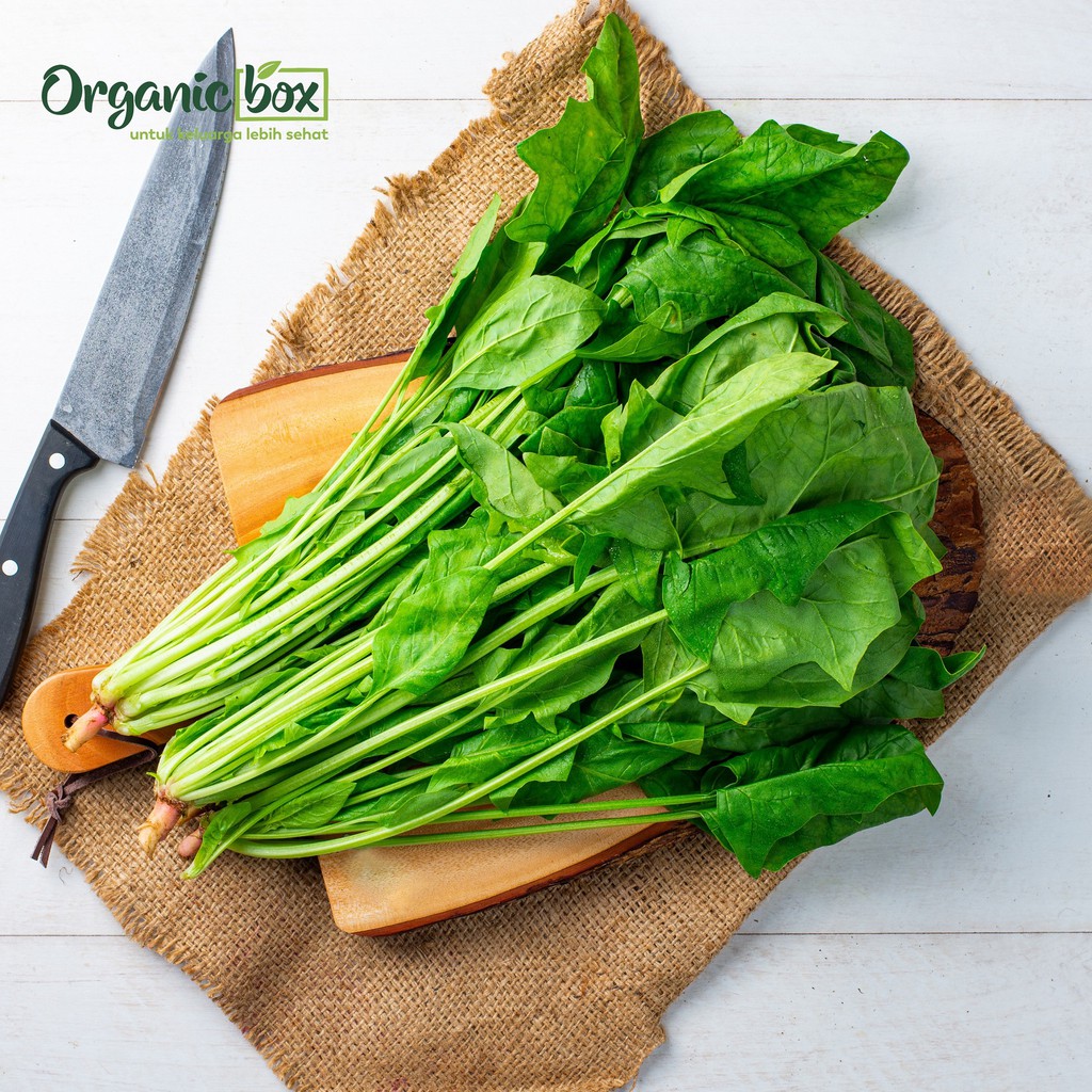 Jual Bayam Jepang Horenso Organik 250gr | Shopee Indonesia
