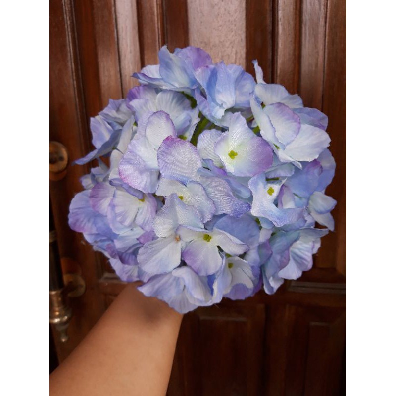 Jual HORTENSIA hydrangea kuntum (harga per pcs) | Shopee Indonesia