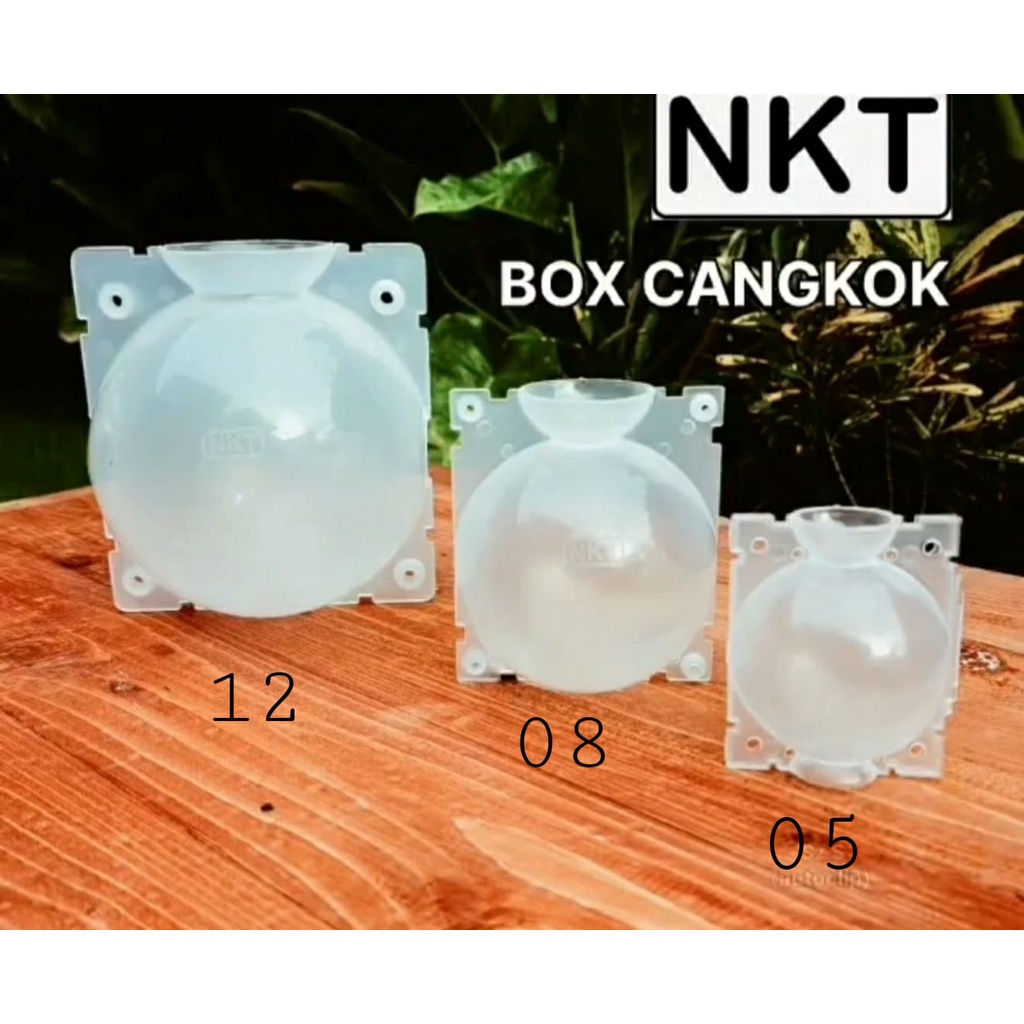 Jual Pot Tanaman NKT Box Cangkok 5 cm / Box Wadah Cangkok 5 cm ( satuan ...