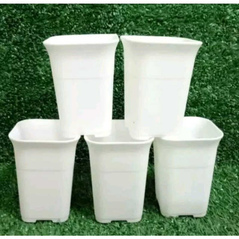 Jual pot bunga kotak putih lusinan /pot bunga plastik tebal | Shopee ...
