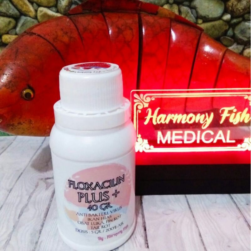 Jual FLOXACILIN PLUS+ HCL 40GR OBAT LUKA VIRUS BAKTERI FIN TAIL ROT ...
