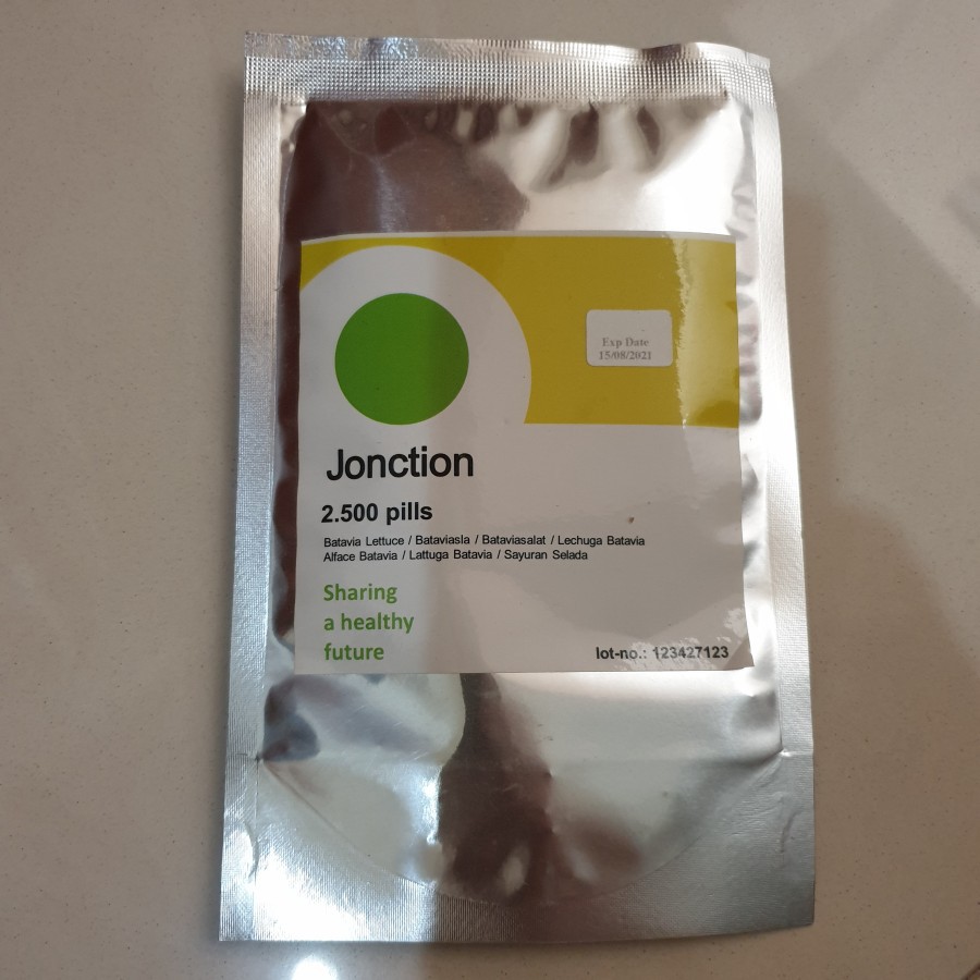 Jual Benih JONCTION RZ Batavia Lettuce Jonction Rijk Zwaan (2500 seeds ...