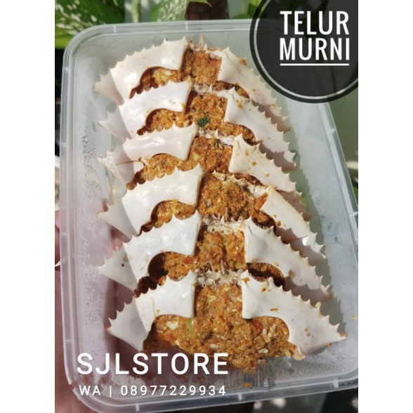 Jual Kepiting Buncit Daging 1pack (BUDAYAKAN MEMBACA DESKRIPSI) Ketam ...