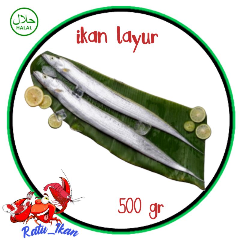 Jual ikan layur segar [500gram] ratu_ikan | Shopee Indonesia