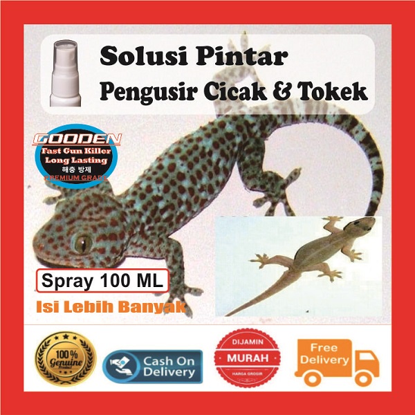 Jual Cairan Racun Semprot Pembunuh Pengusir Pembasmi Cicak Tokek House ... Jual Cairan Racun Semprot Pembunuh Pengusir Pembasmi Cicak Tokek House ...