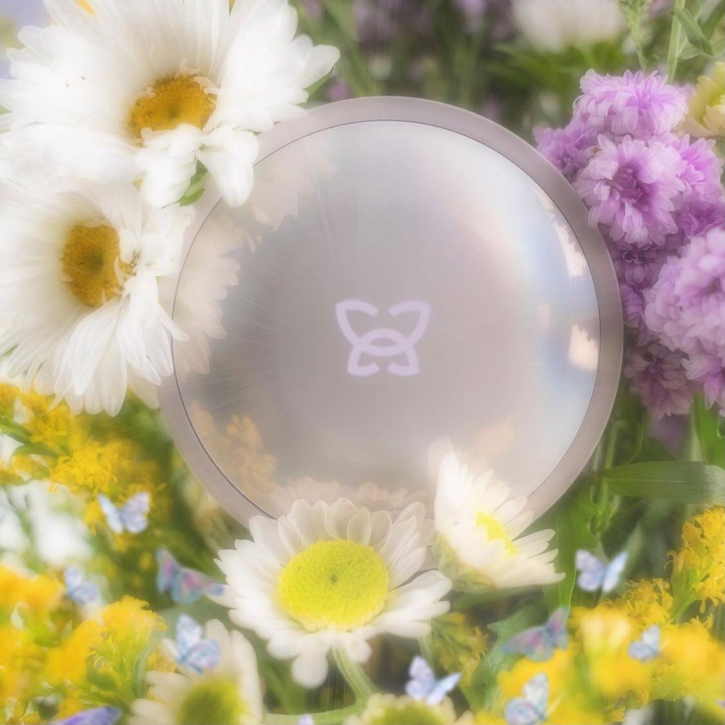 Jual MOTHER OF PEARL MICROBLUR TRANSLUCENT LOOSE POWDER MOP | Shopee ...