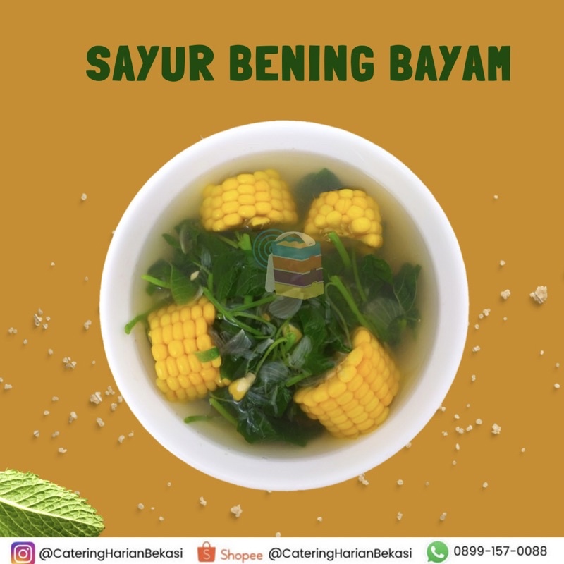 Jual aneka sayur dan tumisan Catering harian Bekasi sayur bening bayam ...