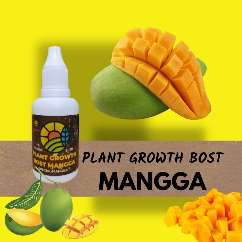 Jual Pupuk Hormon Booster Mangga, Hormon Pemicu Pembungaan Boster ...