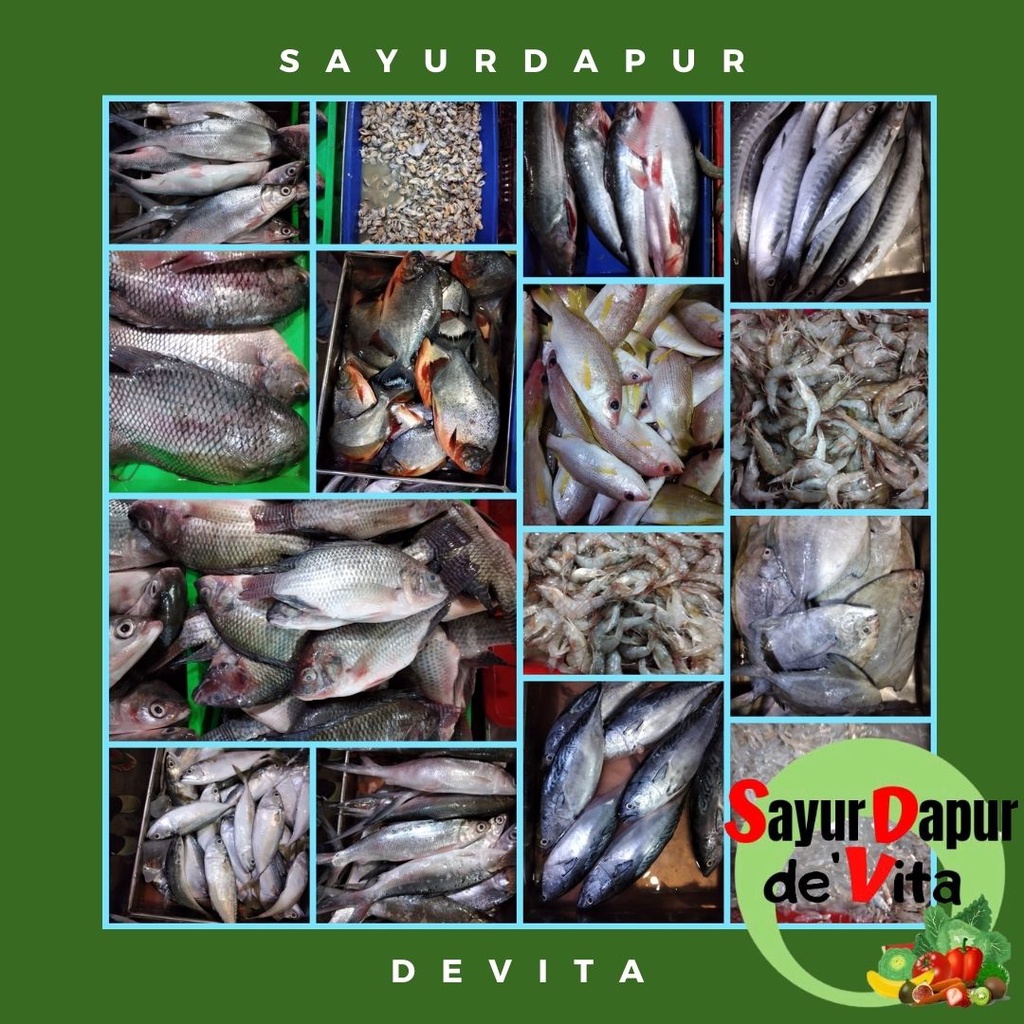 Jual ikan segar Harga Terbaik & Termurah Juni 2026 | Shopee Indonesia
