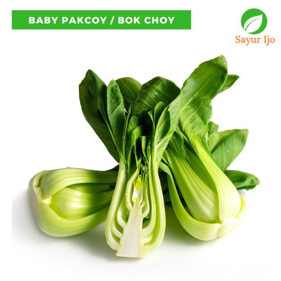 Jual Baby Pakchoy 480 - 500 Gram Fresh Bok Coy Pakcoy Sawi Bokchoy ...