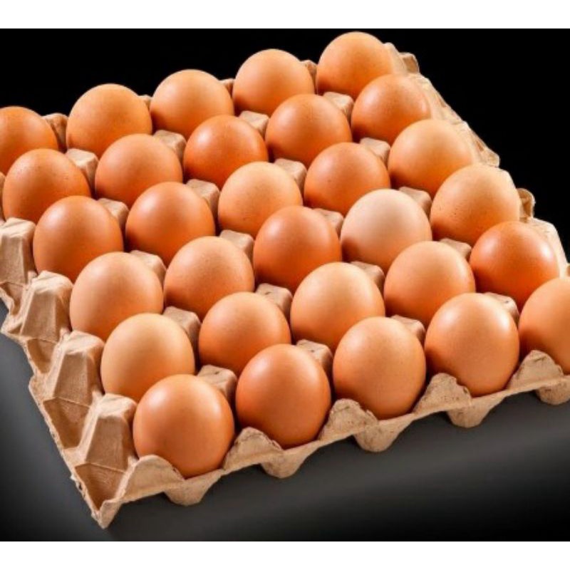 Jual telur ayam negeri isi 30 butir ( 1 tray ) | Shopee Indonesia