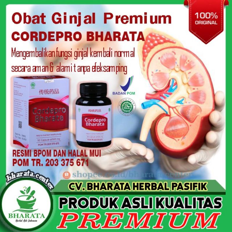Jual Obat Ginjal Premium - Cordepro Bharata [Membantu Mengembalikan ...
