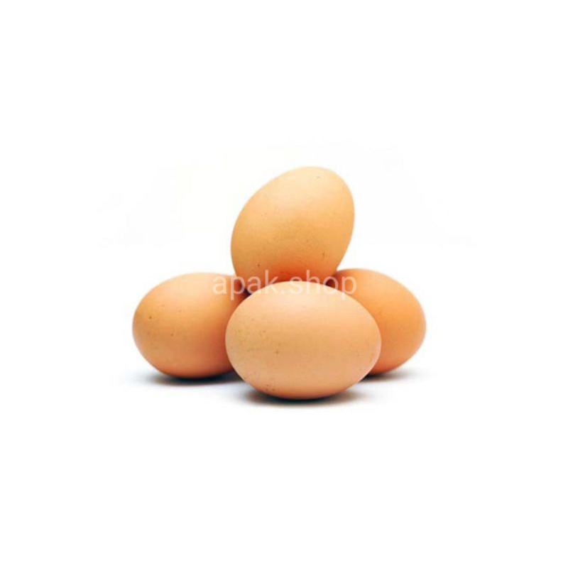 Jual Telur Ayam Per Butir | Shopee Indonesia