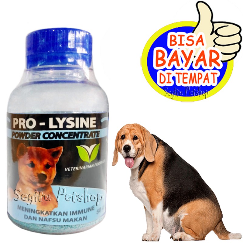 Jual VITAMIN ANJING PENGGEMUK PENAMBAH NAFSU MAKAN PRO LYSINE DOG ...