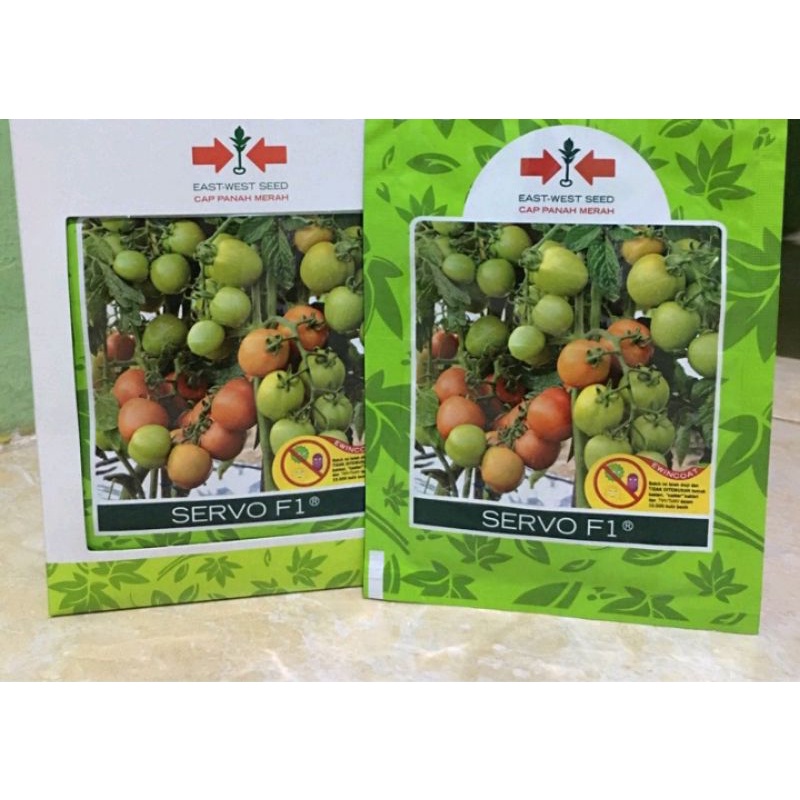 Jual Benih Tomat Servo F1 isi 1750 | Shopee Indonesia